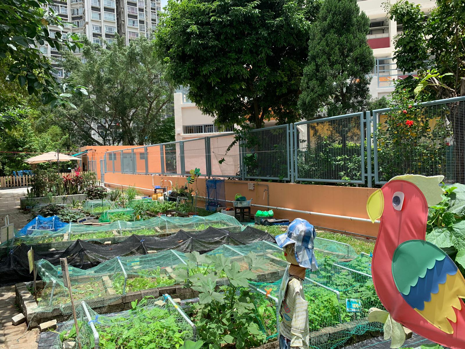 天水圍天主教小學 | 校園設施